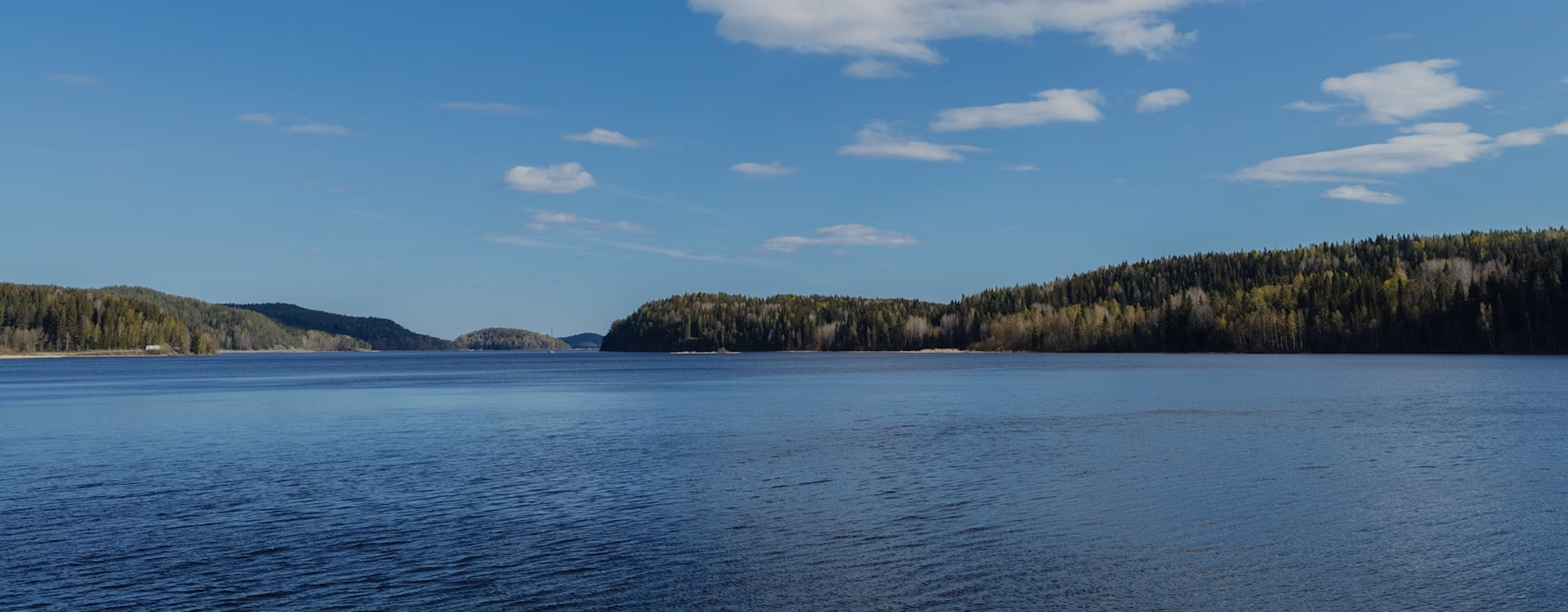 산업 폐수 처리